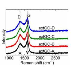 Raman spectra of the exfoliated graphene oxide