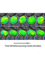 Impression stability with time