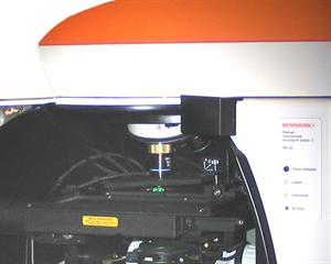 Raman AFM/NSOM system