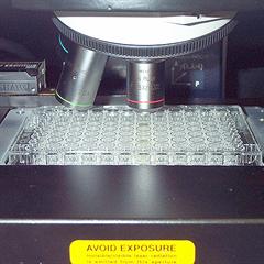 Multiple-well plate package