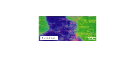 Anadin Tablet: Section 900µm x380µm