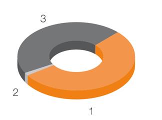 Shareholder profile chart 2