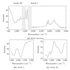 Renishaw Raman Spectra of bird feathers