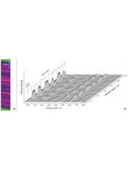 Multilayered polymer laminate structure