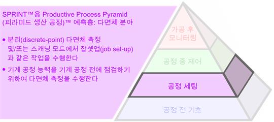 SPRINT™용 Productive Process Pyramid(피라미드 생산 공정)™ 예측층: 다면체 분야