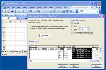 Text Import Wizard 3
